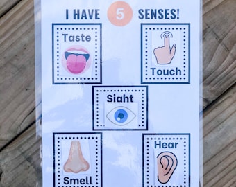 Printable Five Senses Five Senses Sorting Toddler Busy Book - Etsy Canada