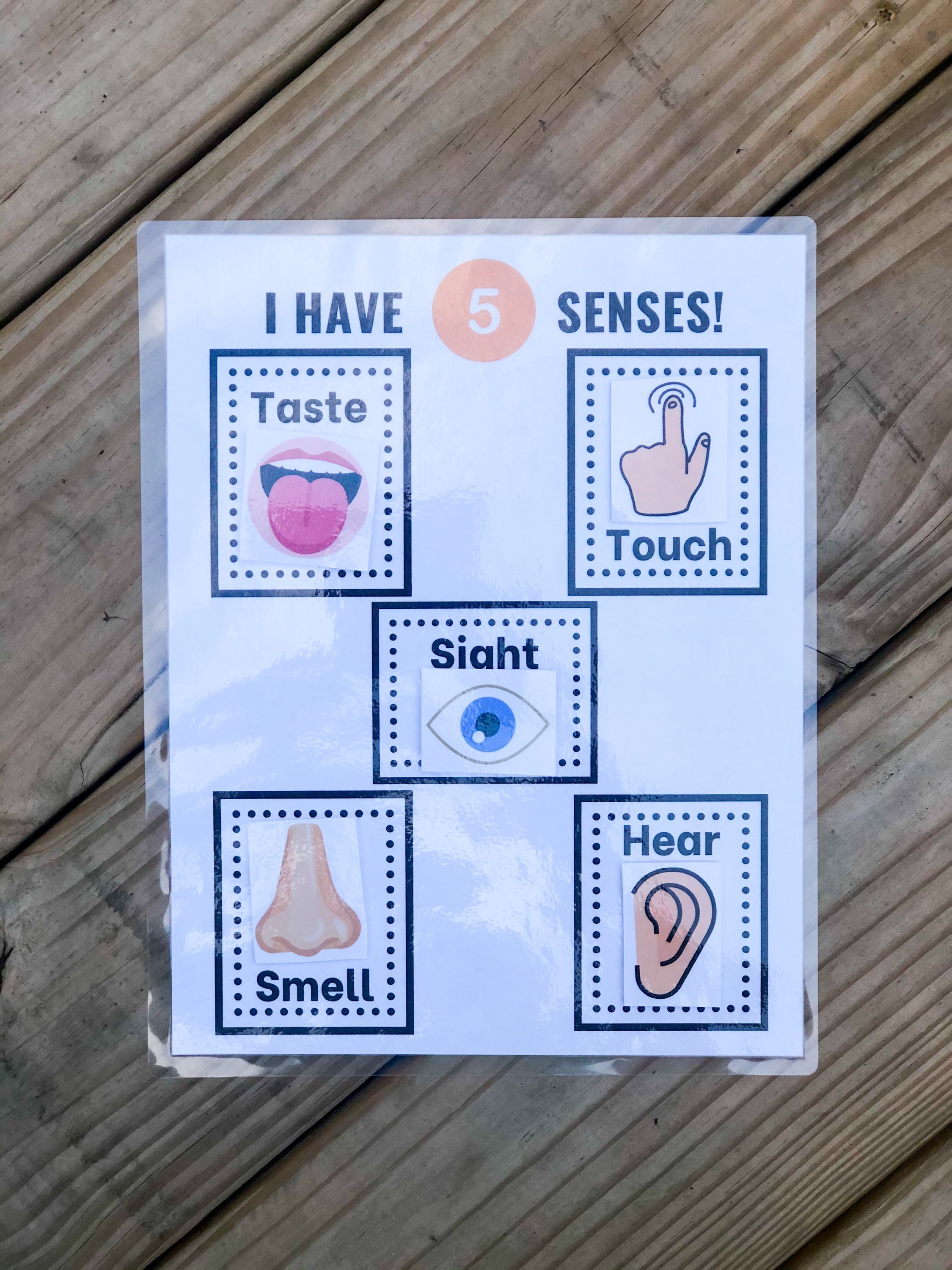 5 Senses, Learning Senses, Early Learning, Hands on Learning, Prek ...