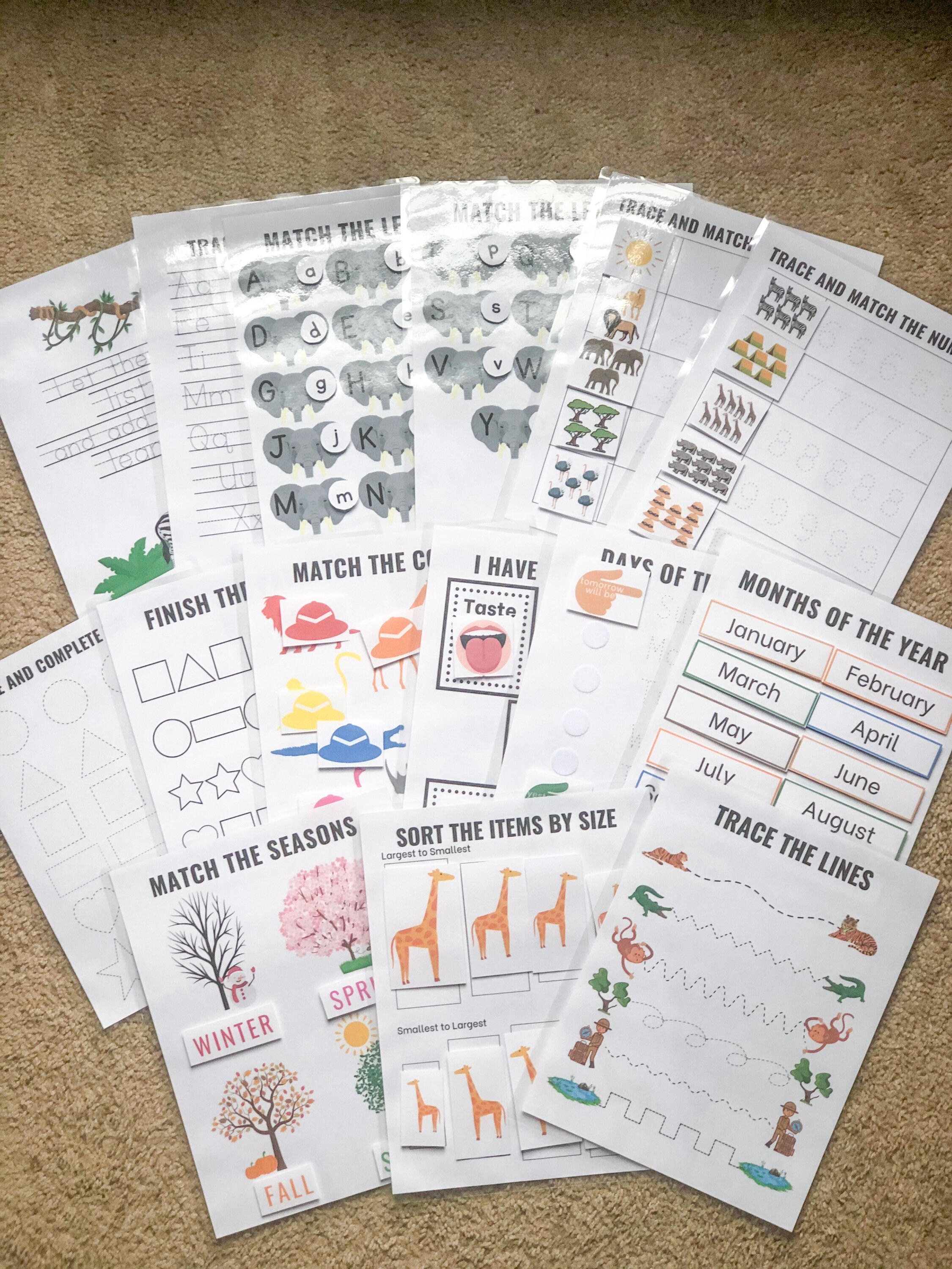 Safari Busy Binder, Education Games, Learning Binder, Early Education ...