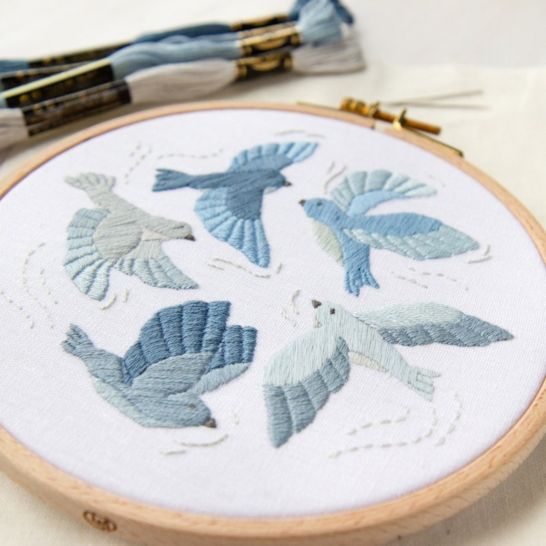 Meadowlark Embroidery Kit. DIY Embroidery. Three Colors. Easy, Beginner ...