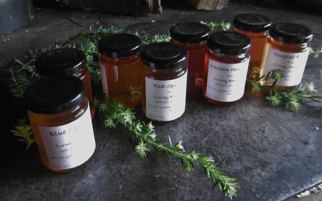 Conifer Tip Syrup: Blue Spruce & Douglas Fir, 100ml Jar - Etsy