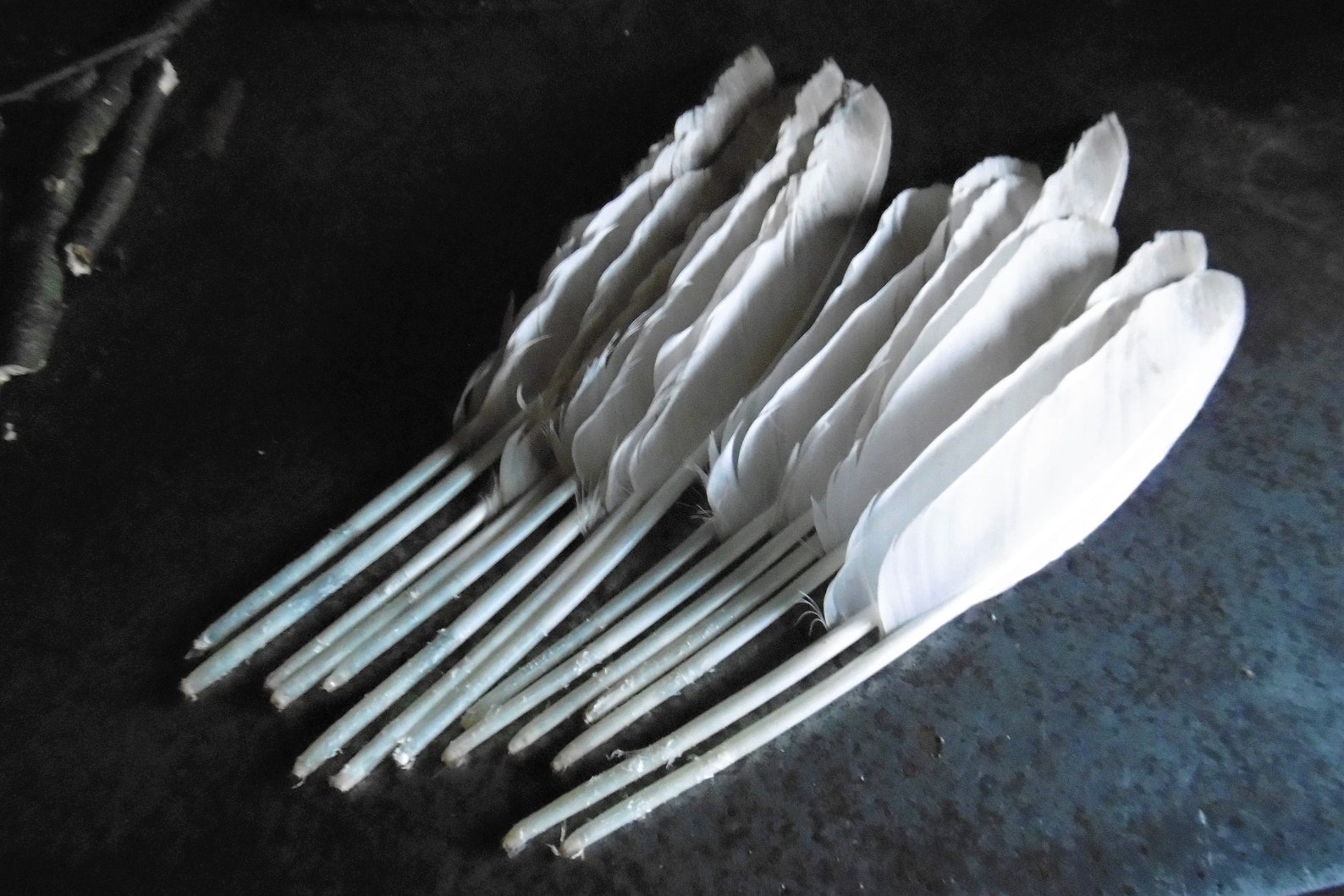 Handmade Natural Goose Quill Pens - a "luddite" Writing Tool - Etsy