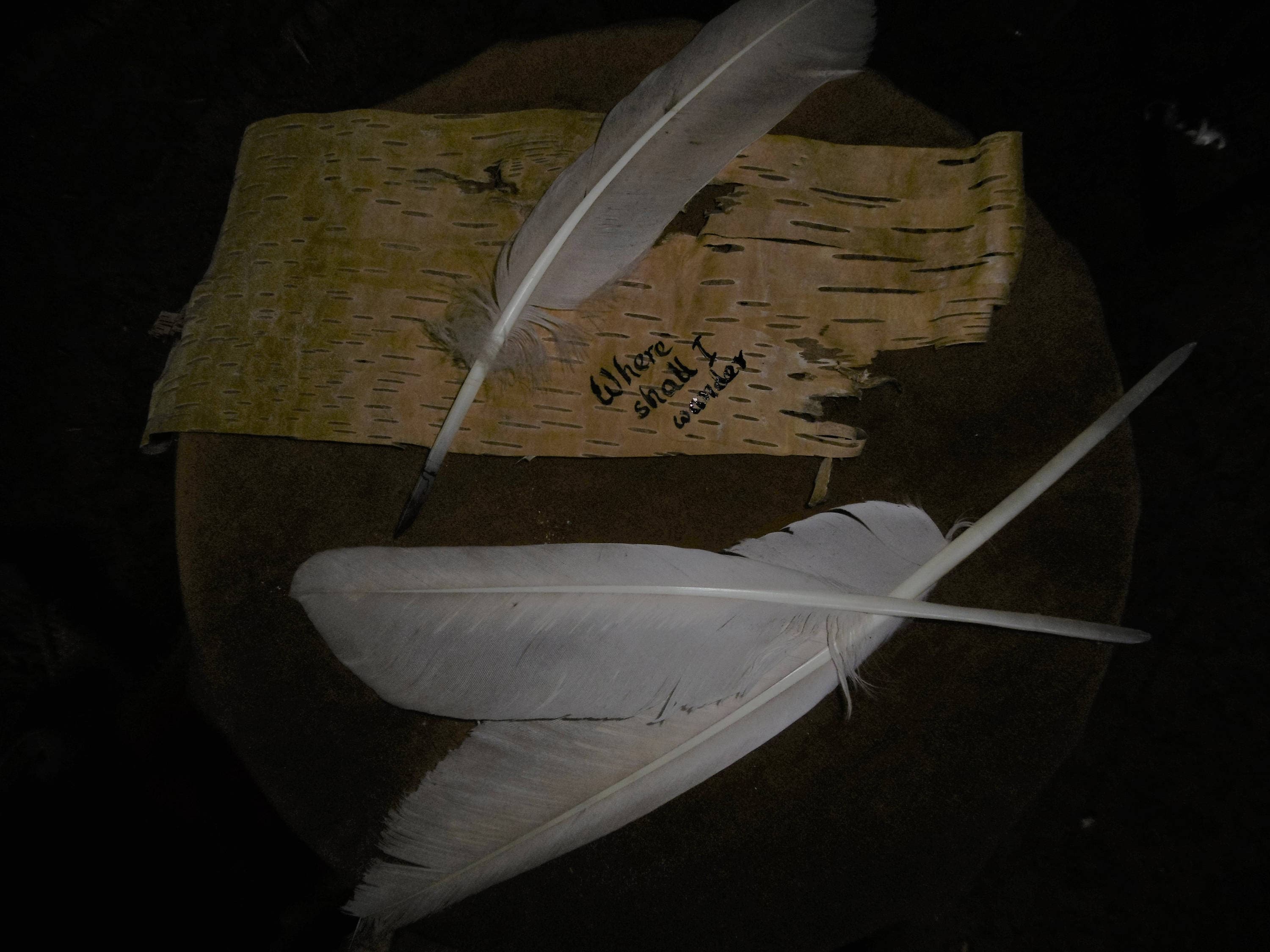 Handmade Natural Goose Quill Pens - a "luddite" Writing Tool - Etsy