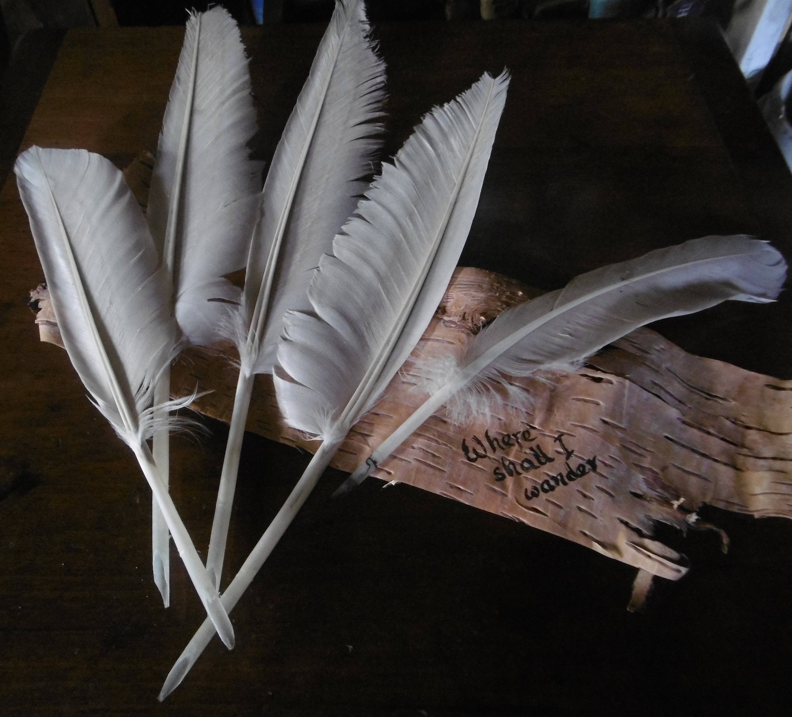 Handmade Natural Goose Quill Pens - a "luddite" Writing Tool - Etsy