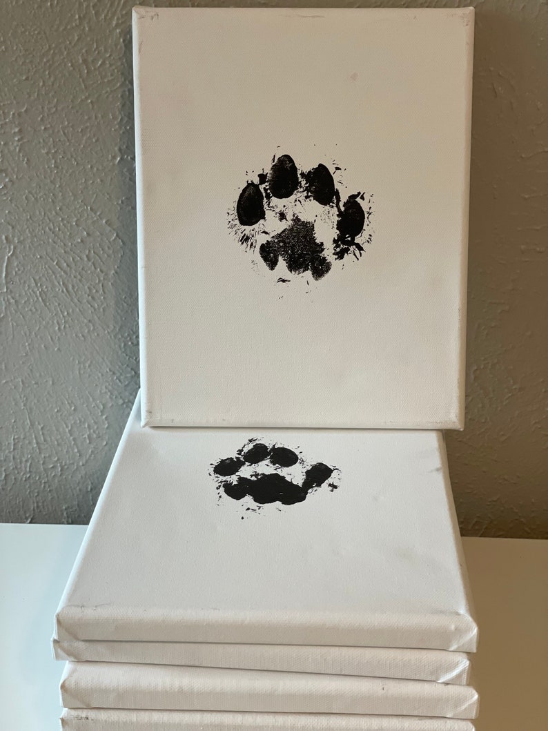 Cassie Paw Print - Black - Etsy