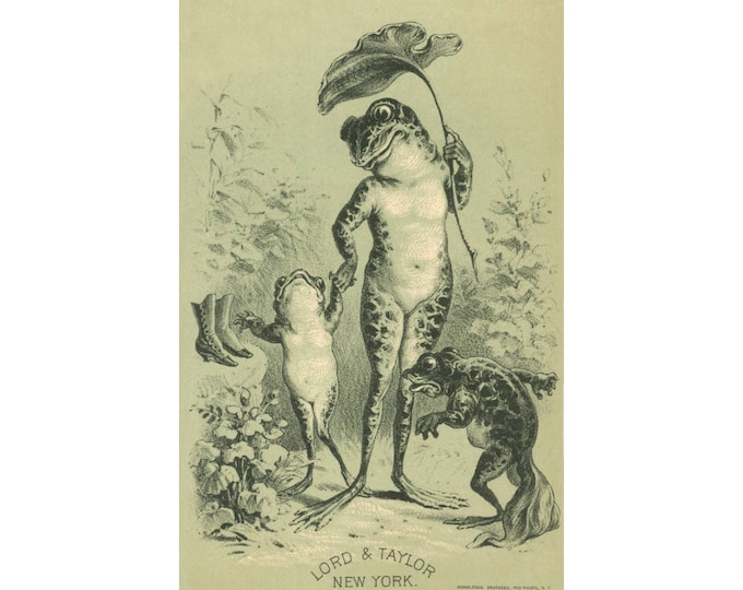 Antique Frog Art Print Vintage Frog Painting Victorian - Etsy