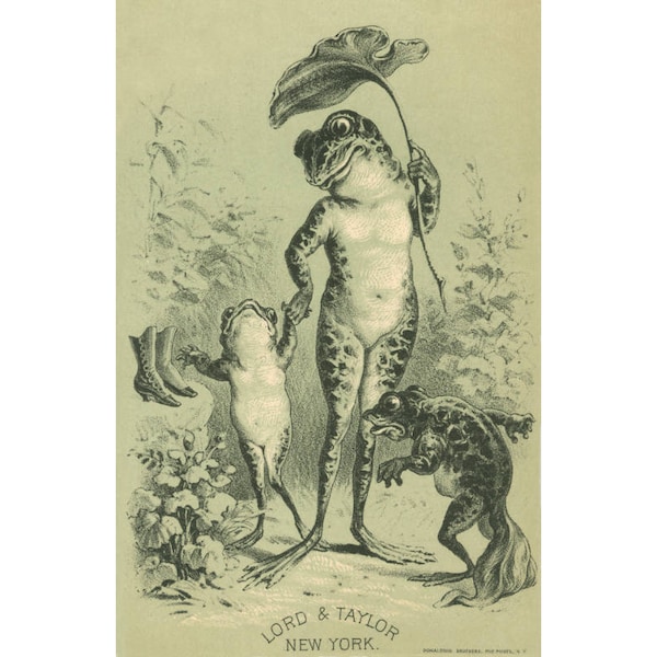 Antique Frog Print - Etsy