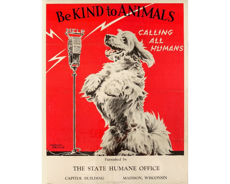 Animal Welfare Art Print Be Kind to Animals Poster Gift for - Etsy