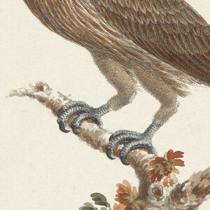 The Seer, Collage Art Print, Magical Bird Painting, Strange Animals ...