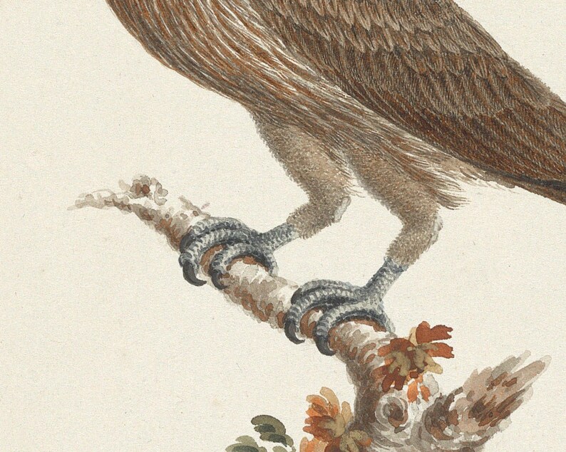 The Seer Collage Art Print Magical Bird Painting Strange - Etsy