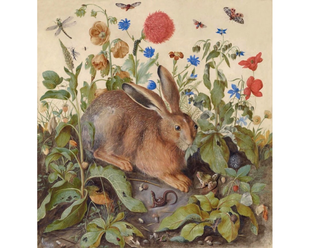 Antique Rabbit Painting Art Print, Hans Hoffmann, A Hare Among Plants ...