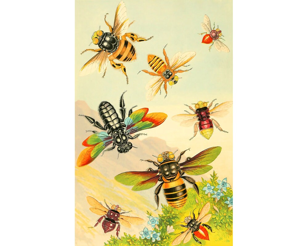 Bees Art Print Vintage Bee Art Bumblebee Honeybee Exotic - Etsy