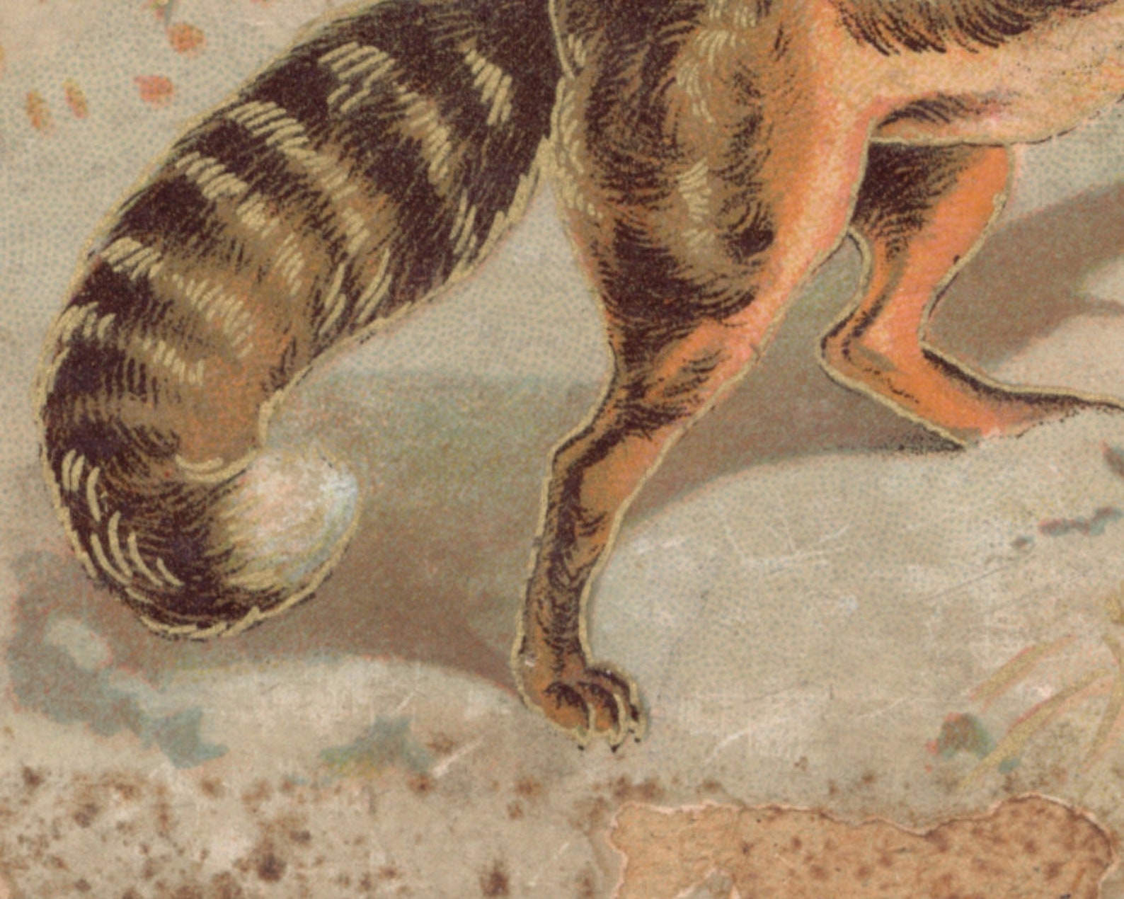 Old Fable Art Print Vintage Aesop's Fables Illustration | Etsy