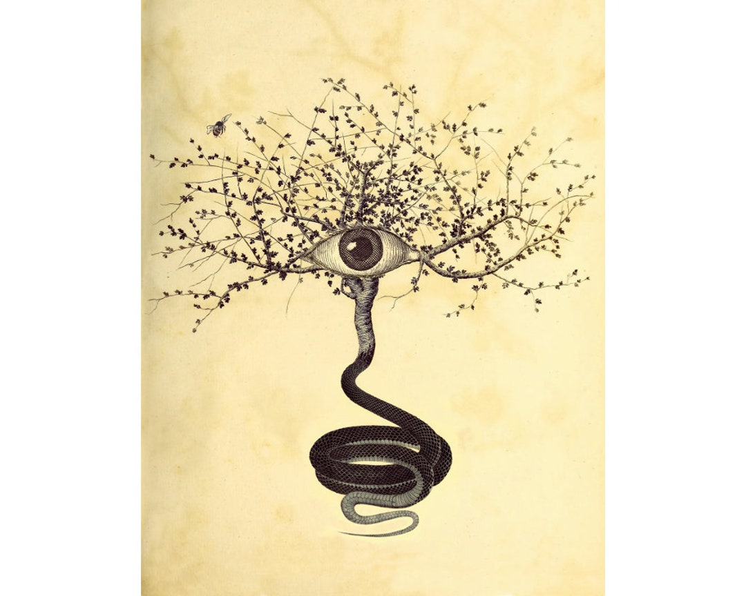 The Knower, Surreal Collage Art Print, Tree of Knowledge, Snake, All ...