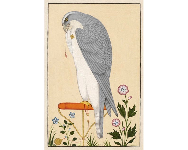 Antique Falcon Painting Art Print Indian Falconry Art Print | Etsy