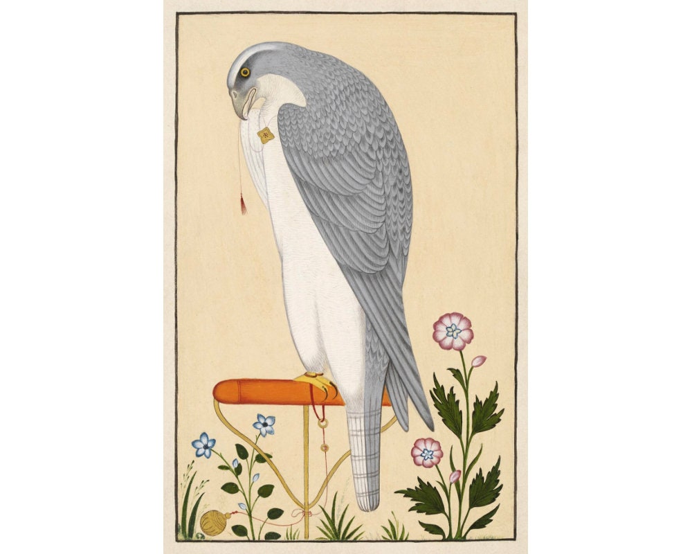 Antique falcon painting art print Indian falconry art print | Etsy