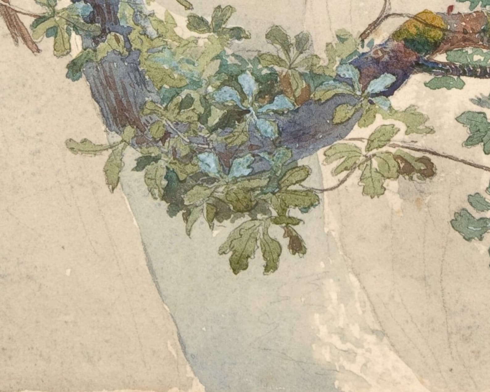 Antique Tree Art Print Vintage Tree Branches Watercolor | Etsy