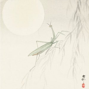 Japanese Praying Mantis Painting - Etsy