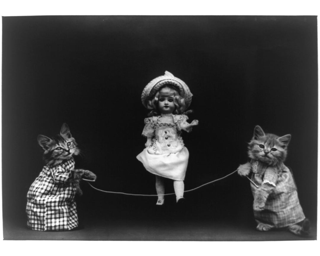 Antique Cat Photograph, Harry Whittier Frees, the Little Folks of ...