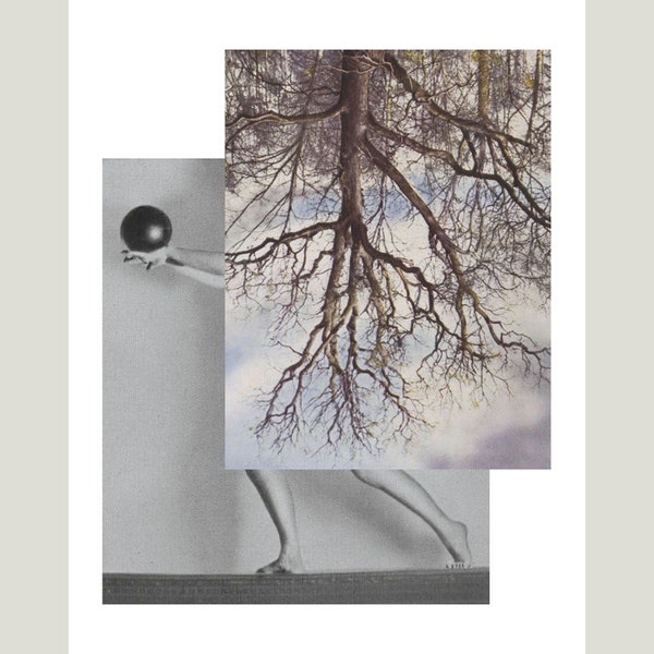 Intellectual Wall Art - Etsy