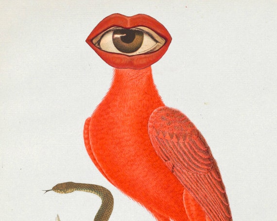 Strange Vintage Animal Drawings