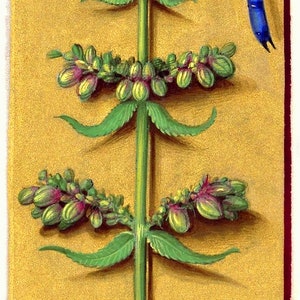 Vintage Botanical Cannabis Art Print, Antique Marijuana Painting ...