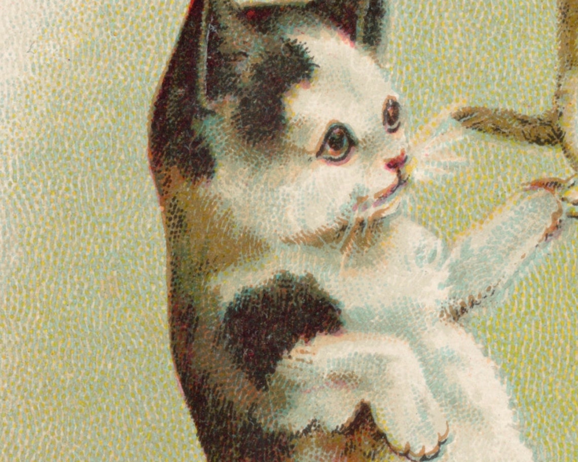 Cute Vintage Cats Art Print Antique Victorian Kittens Wall - Etsy