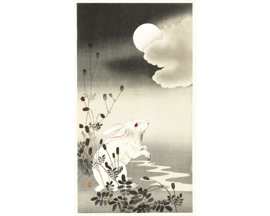 White Rabbit and Full Moon Art Print Japanese Rabbit - Etsy