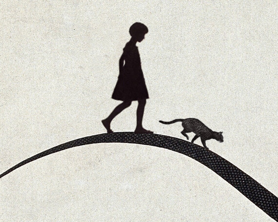 Companions on the Road to Hell, Surreal Collage Art Print, Girl and Cat ...