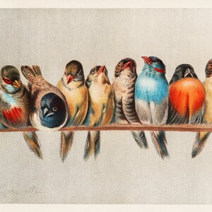 Songbirds Art Print, A Perch of Birds by Hector Giacomelli, Bird Lover ...