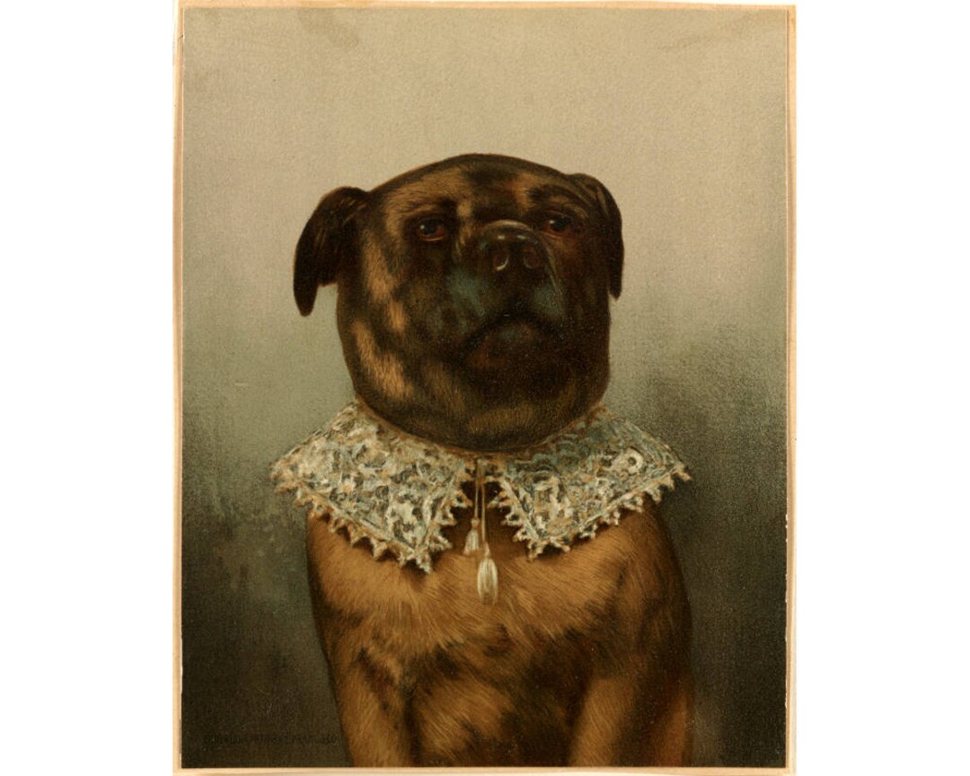 Dog Art Print, Kitsch Dog, Victorian Dog Portrait, Dog Painting ...