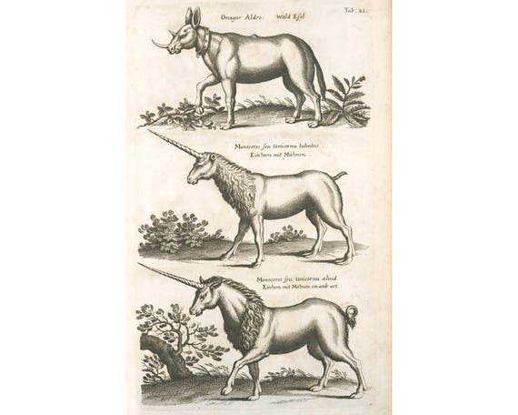 Antique Unicorn Art Print Mythical Creatures Fantasy Art - Etsy