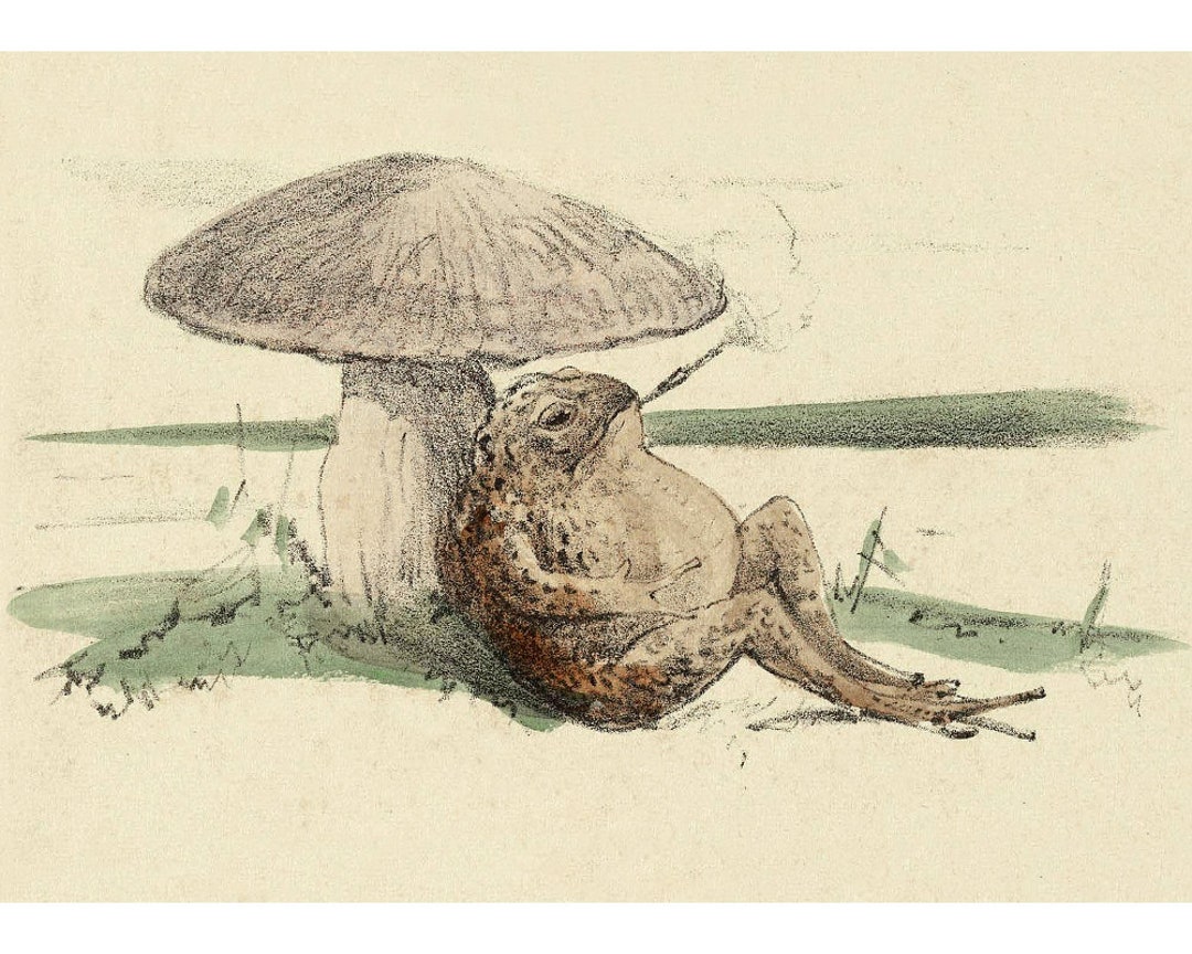 Vintage Smoking Toad Art Print, Antique Victorian, Theodorus Van ...
