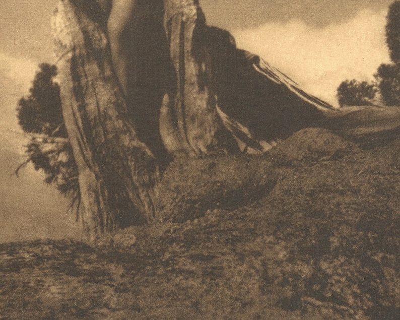 Soul of the Blasted Pine Anne Brigman Print Antique - Etsy