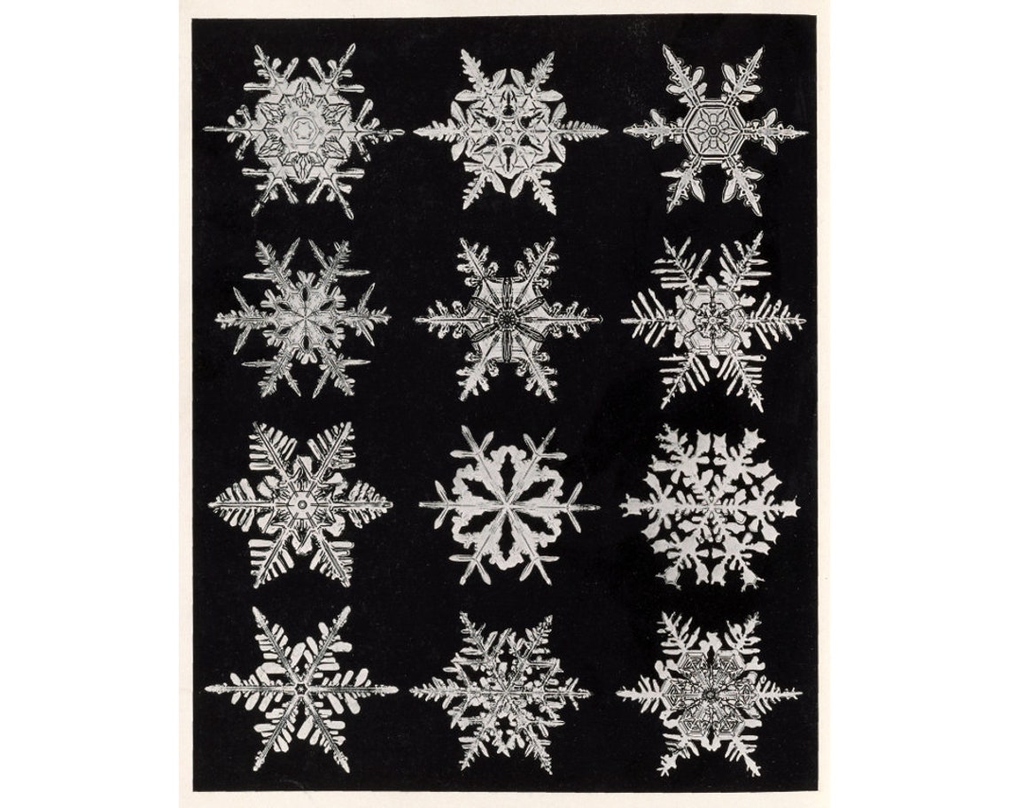 Snowflake Photography Art Print Winter Wall Art Nature Art - Etsy