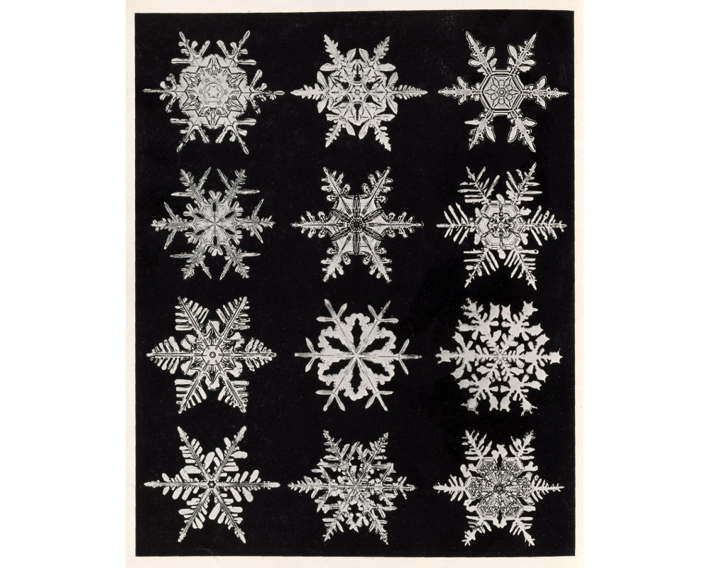 Snowflake Sketches Bentley