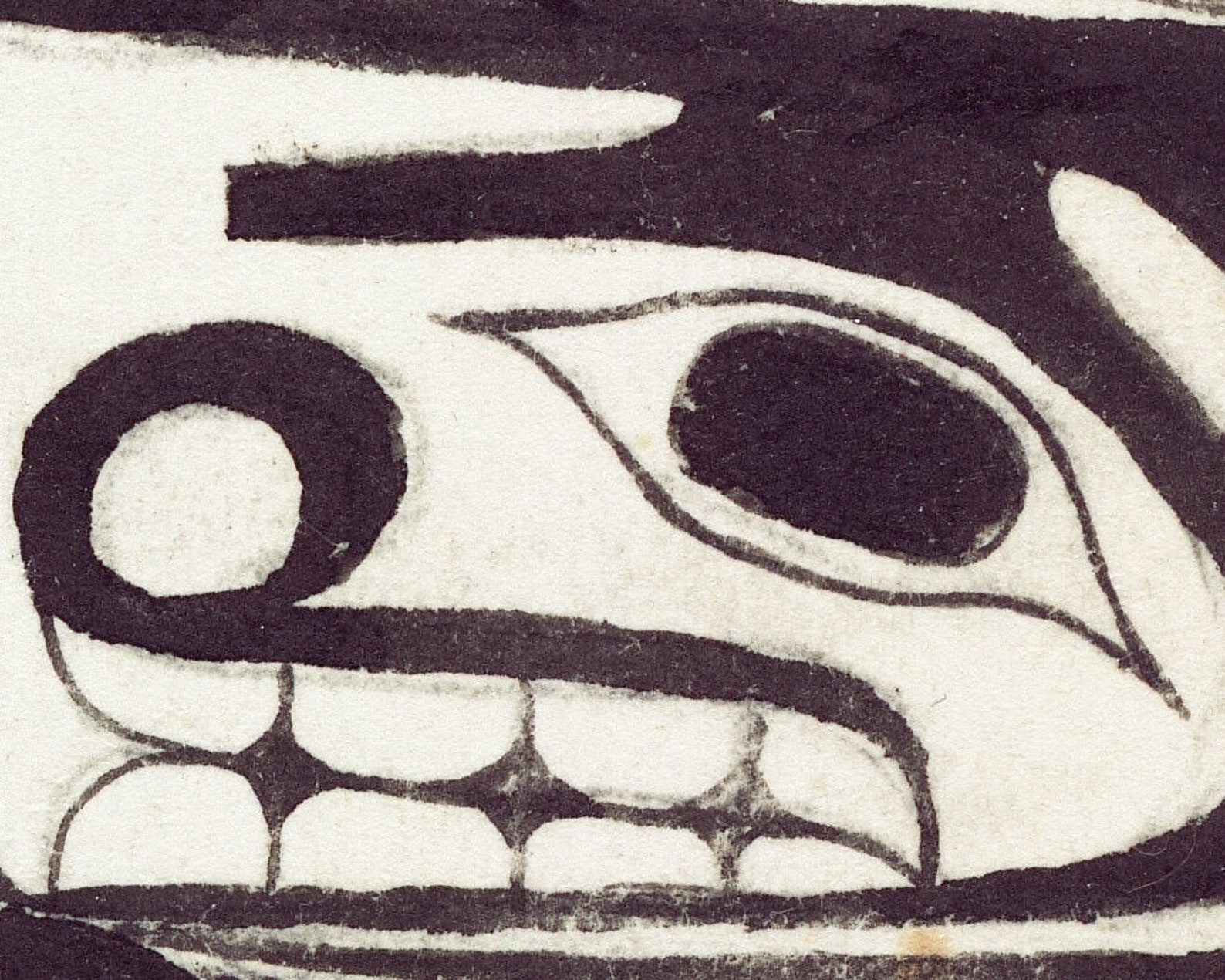 Haida Indian Art Print Pacific Northwest Coast Native - Etsy