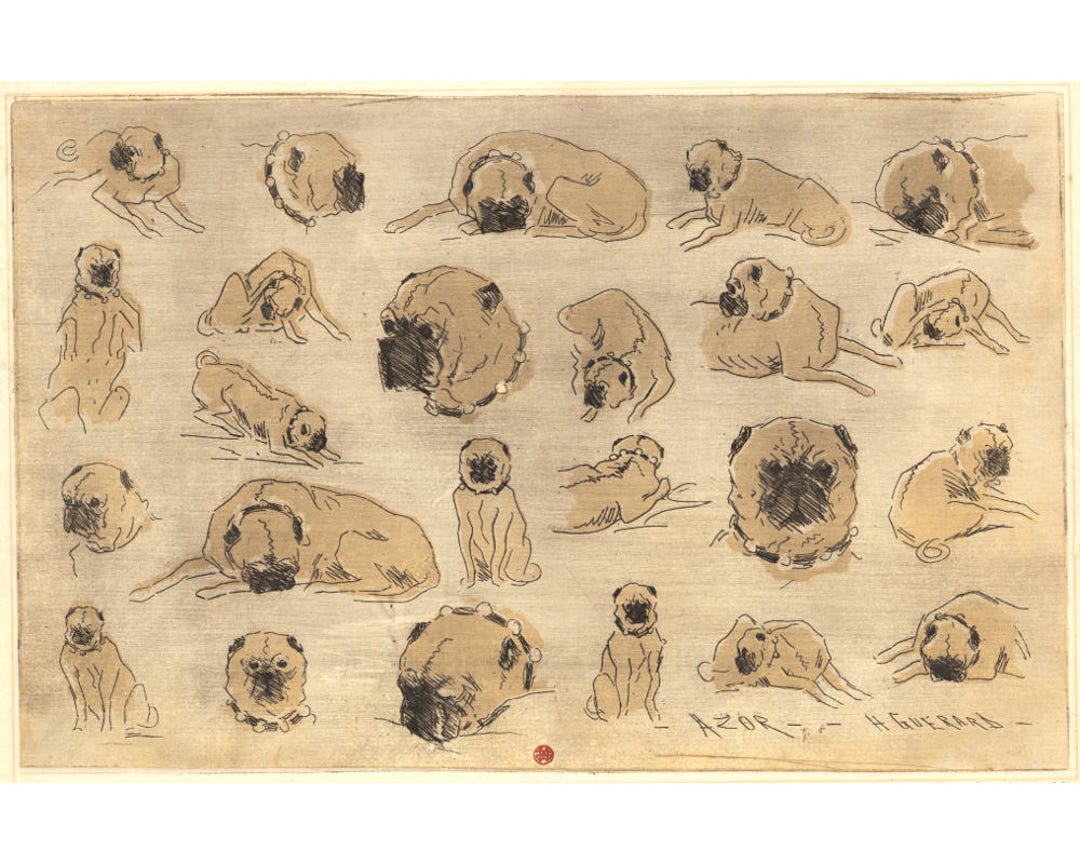 Antique Pug Dog Art Print, Dog Pose Diagram, Pug Drawing Art, Pug Dog ...