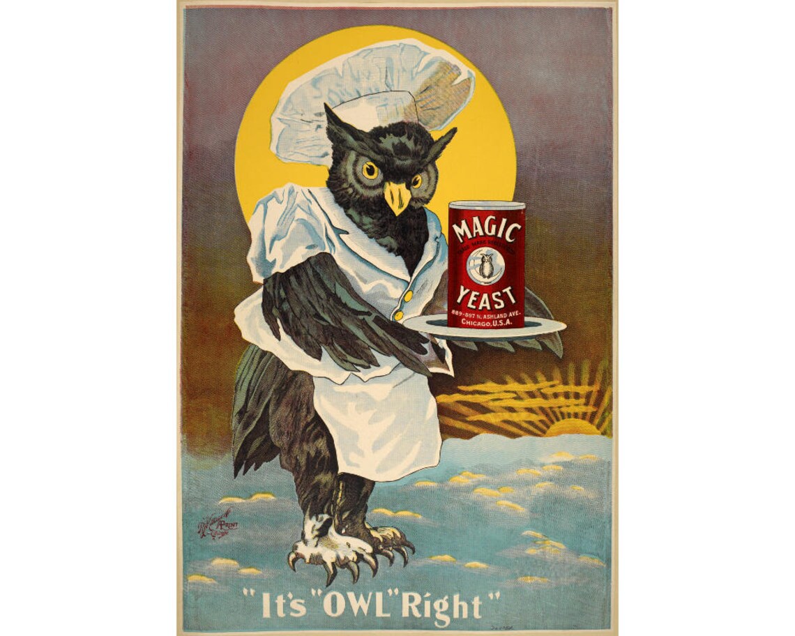 Vintage Owl Kitchen Poster Chef Art Baker Art Bakery Art | Etsy
