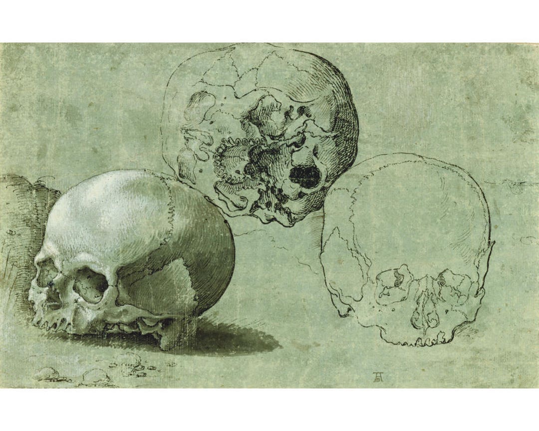 Three Skulls Art Print, Memento Mori Art Print, Skull Art Print, Skull ...