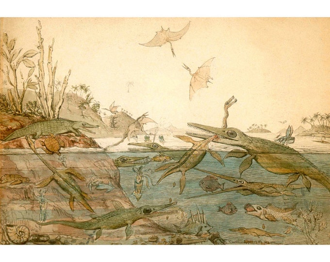 Pteranodon Art Print Vintage Dinosaur Painting Antique - Etsy
