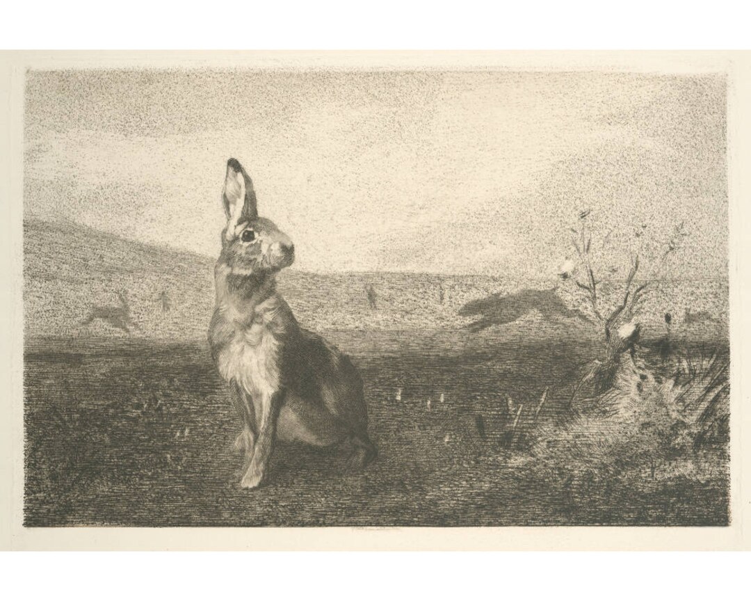 Rabbits Fine Art Print, Wildlife Art Print, Wildlife Wall Art, Animal ...