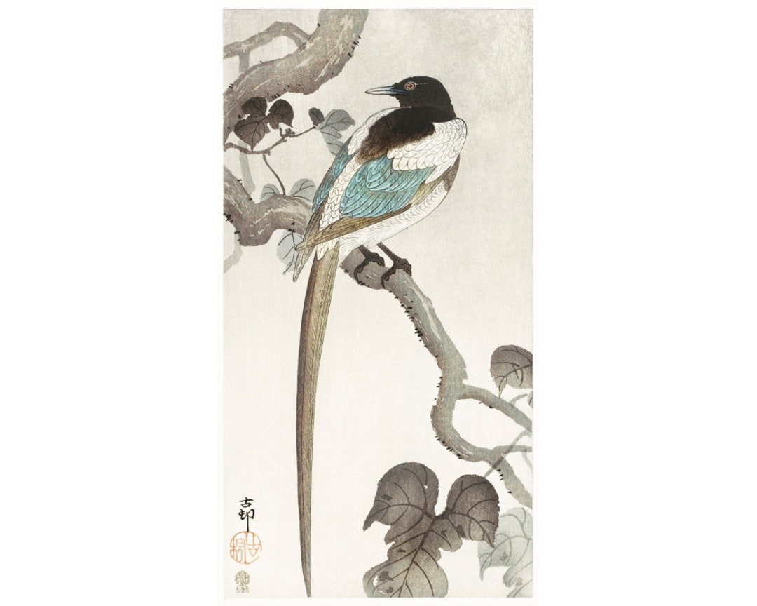 Japanese Magpie Painting, Vintage Bird Wall Art, Nature Art, Ohara ...