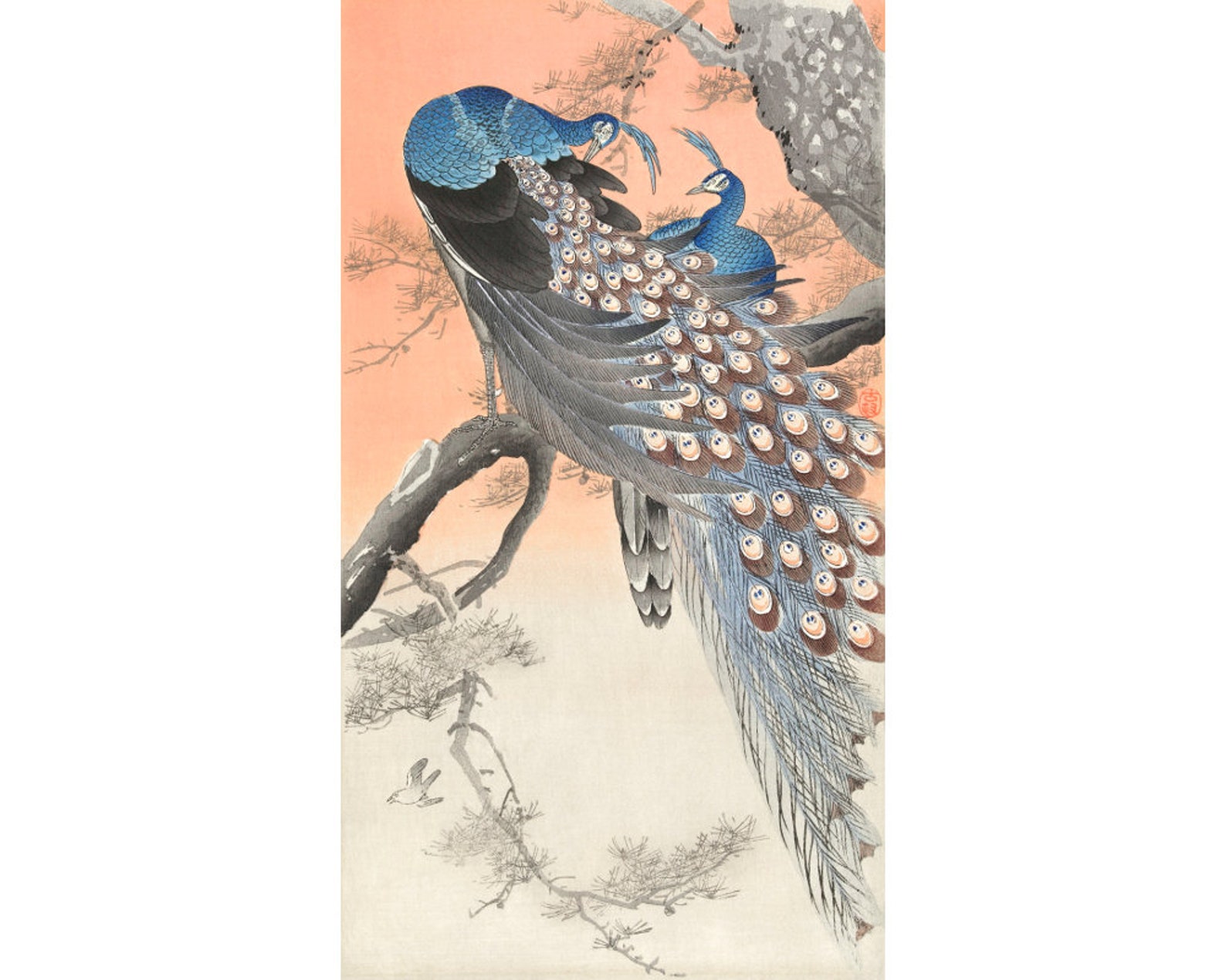 Antique Peacock Art Print, Japanese Peacock Painting, Vintage Asian ...
