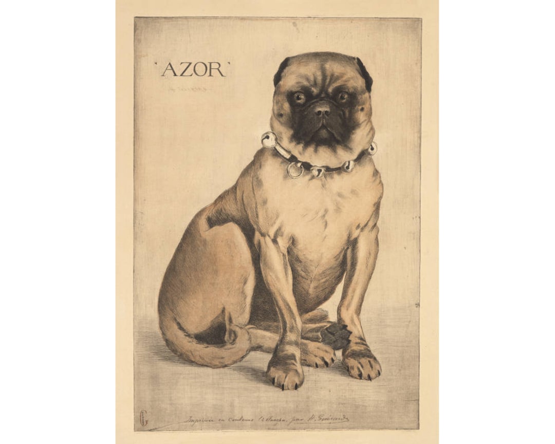 Pug Art Print, Pug Artwork, Pug Dog Wall Art, Vintage Pet Portrait, Dog ...