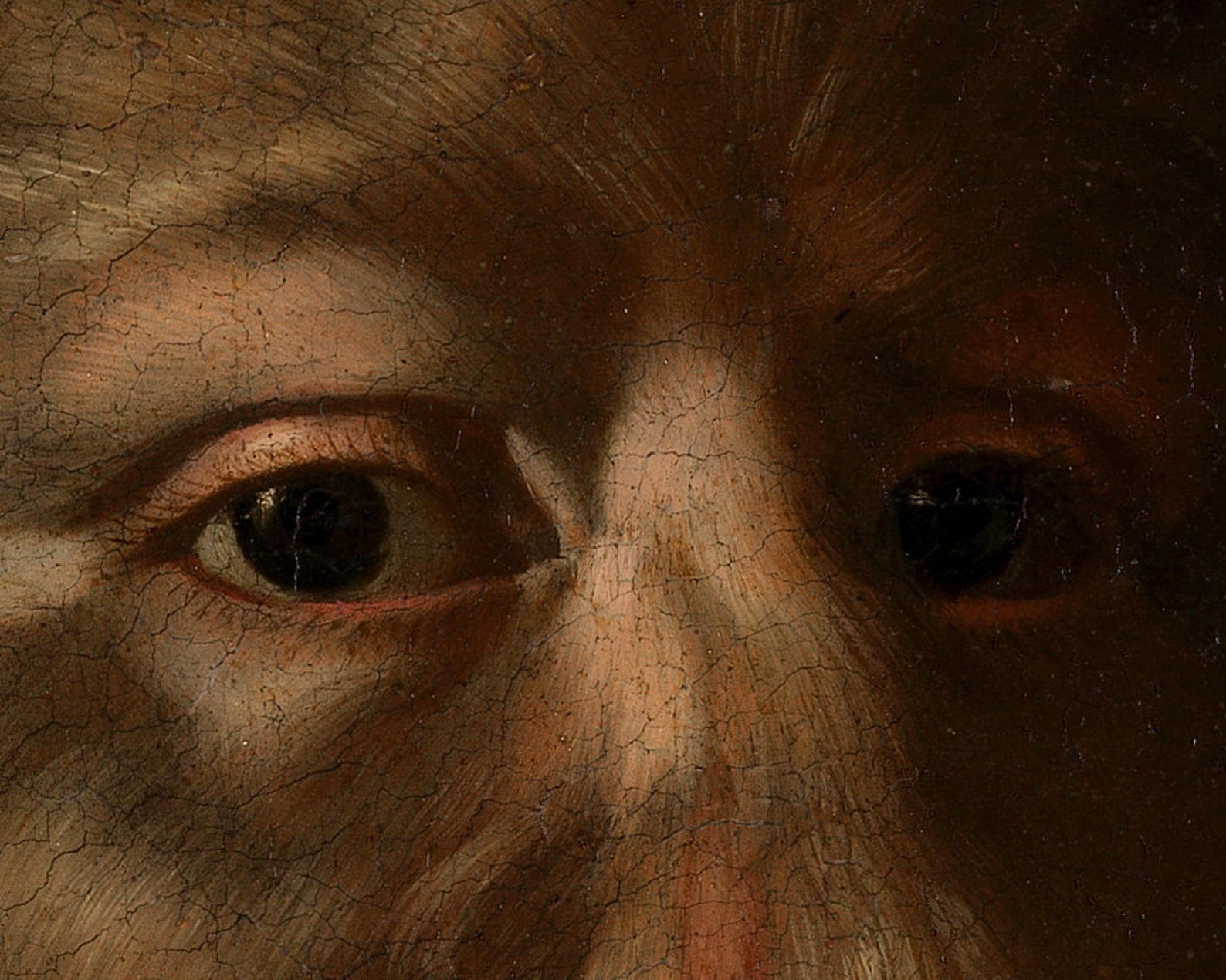 Portrait of Barbara Van Beck, Bearded Lady Art Print, Wolf Woman ...