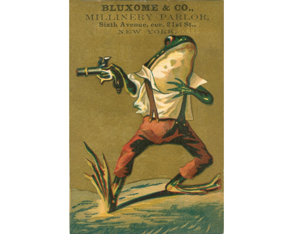 Set of Two Frog Art Prints Antique Frog Art Vintage Frogs - Etsy