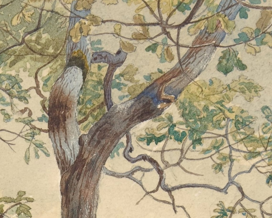 Antique Tree Art Print Vintage Tree Branches Watercolor | Etsy