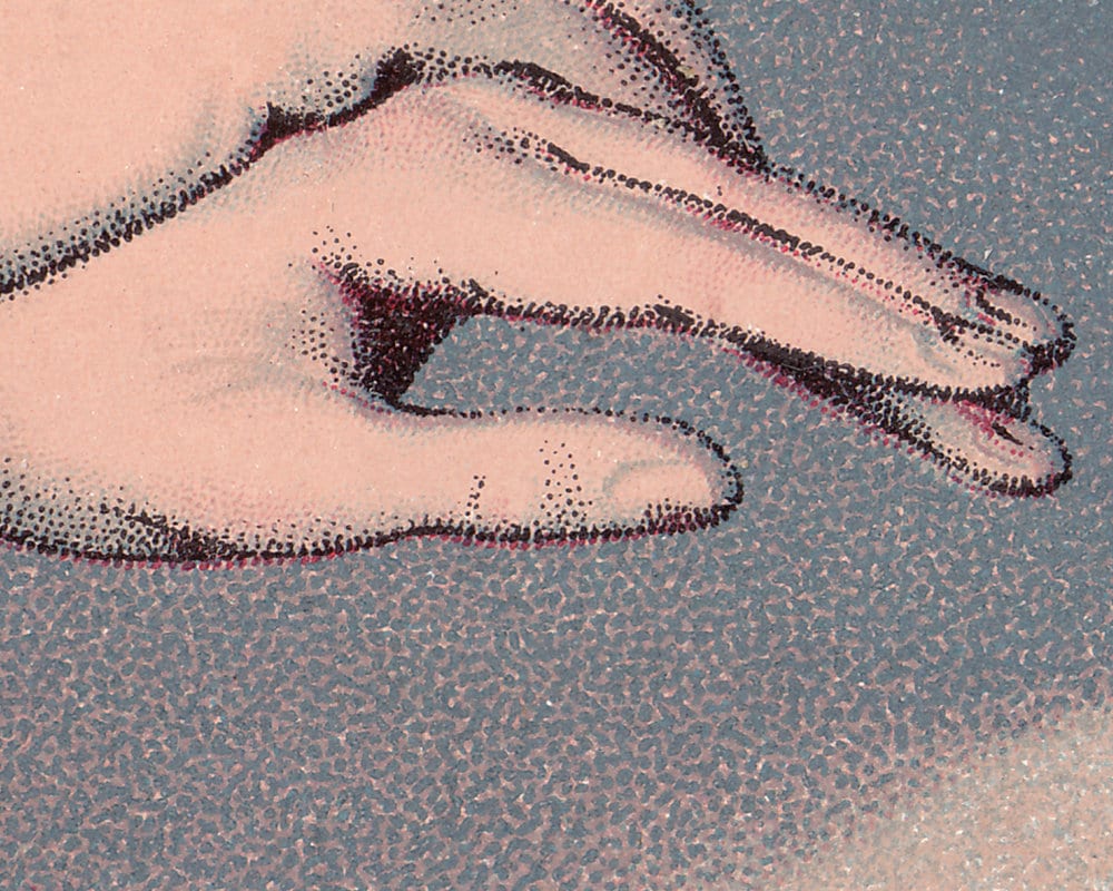 Vintage Wolf Art Print Victorian Hand Shadow Puppets Antique - Etsy