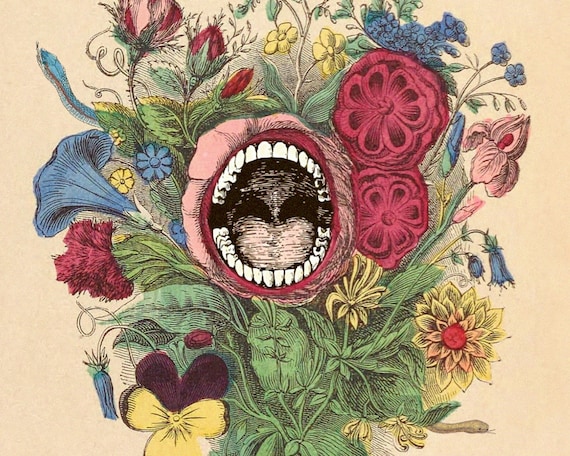 Weird Art Nature